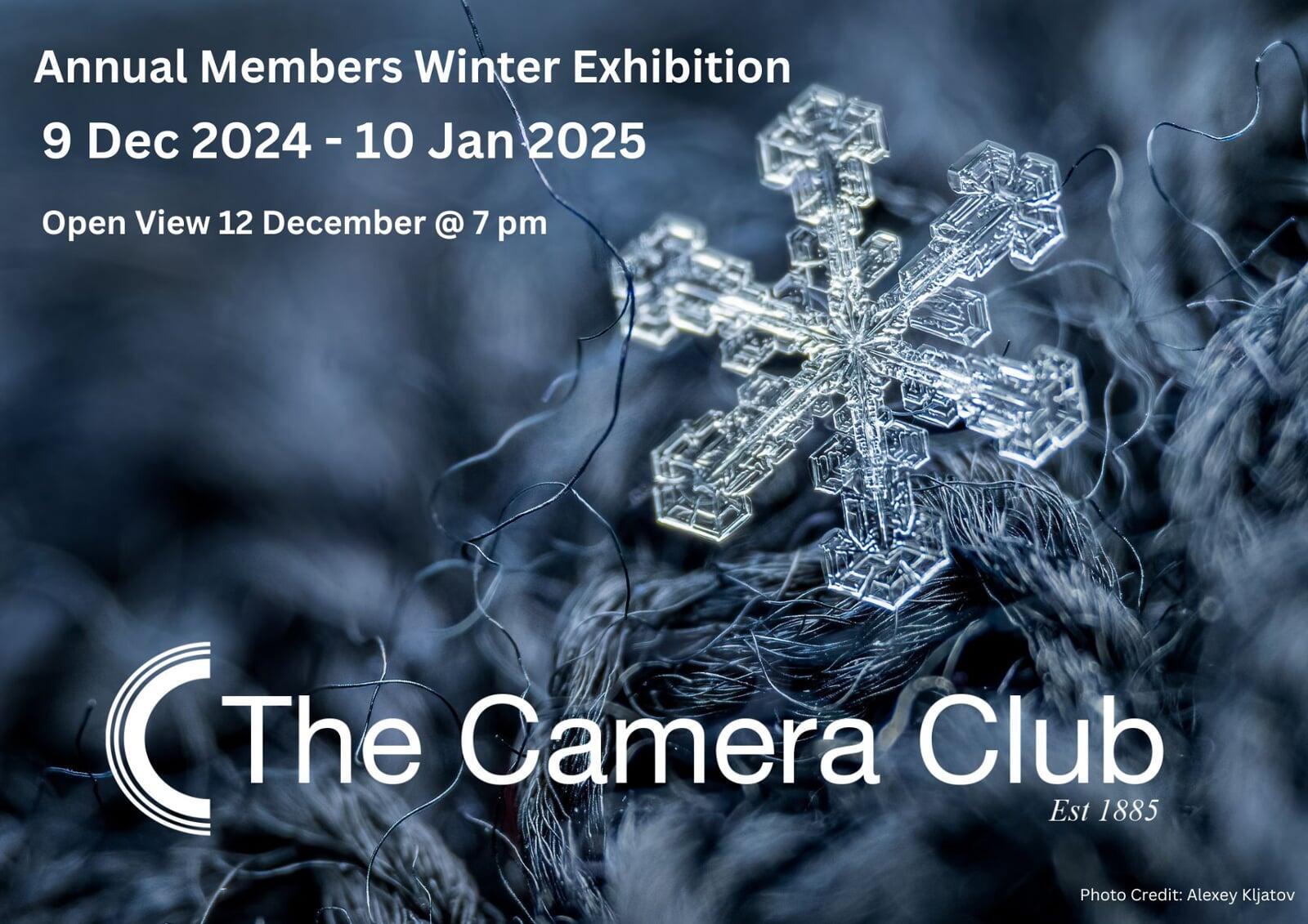 It Is Time to Vote For The 2024 Annual Members' Winter Exhibition | The ...